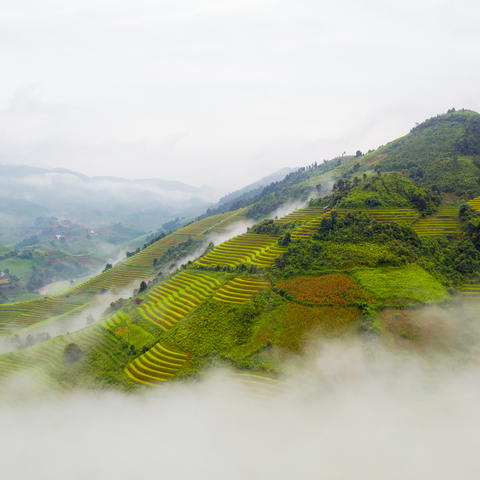 Stockphotos - The friendly stock agency with millions of images for ...